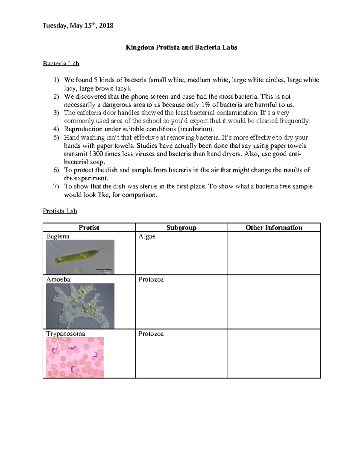 Kingdom Protista and Bacteria Lab - Warning: TT: undefined function: 32 ...