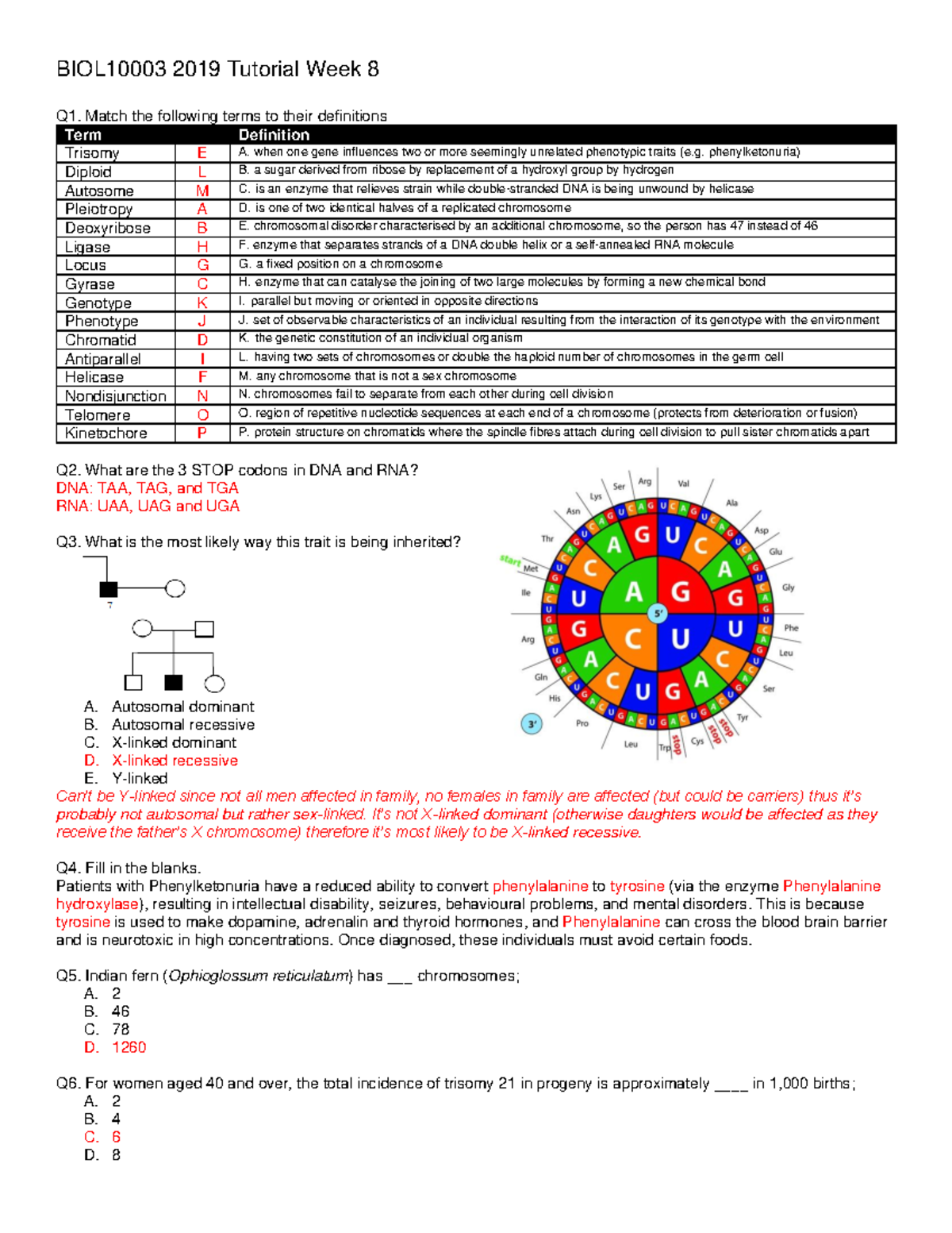 BIOL10003 2019 Tutorial Week 8 - Answers - Warning: TT: undefined ...