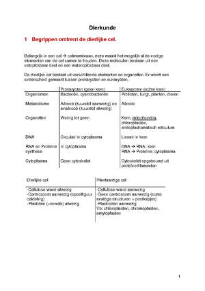 Determinatie syllabus 2022 - Determineren insecten Overzicht ...