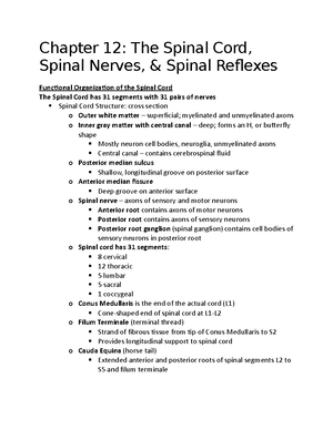 EOCR- Exercise 38 - for class - Review Sheet: Exercise 38 Anatomy of ...