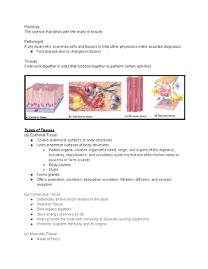 Human Anatomy Chapter 1 Book Notes - Anatomy Deals with mostly ...