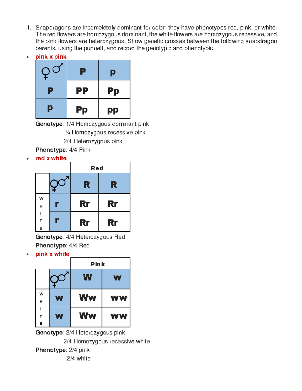 Baccay Arlene-Peter Damian-Gen Bio Enrichment - Snapdragons are ...