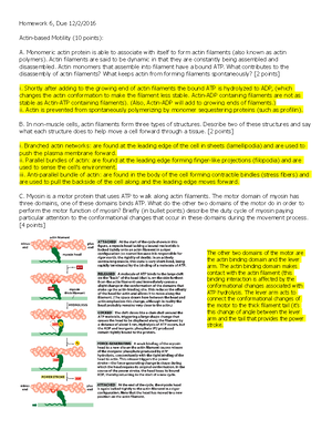 Bio Notes doc biology - From gene to protein DNA to RNA to Protein ...