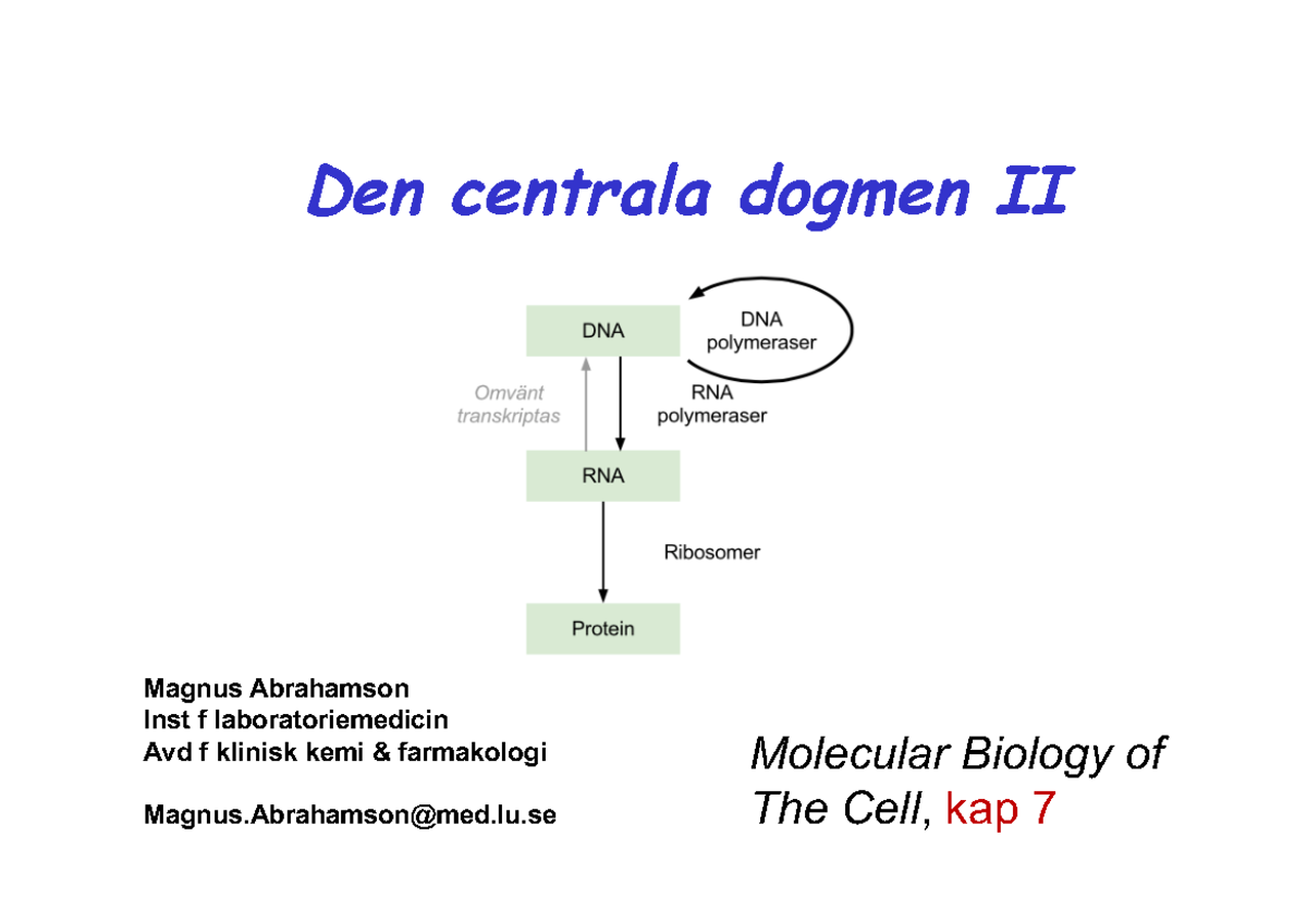 Den centrala dogmen II, Magnus Abrahamson - Den centrala dogmen II ...