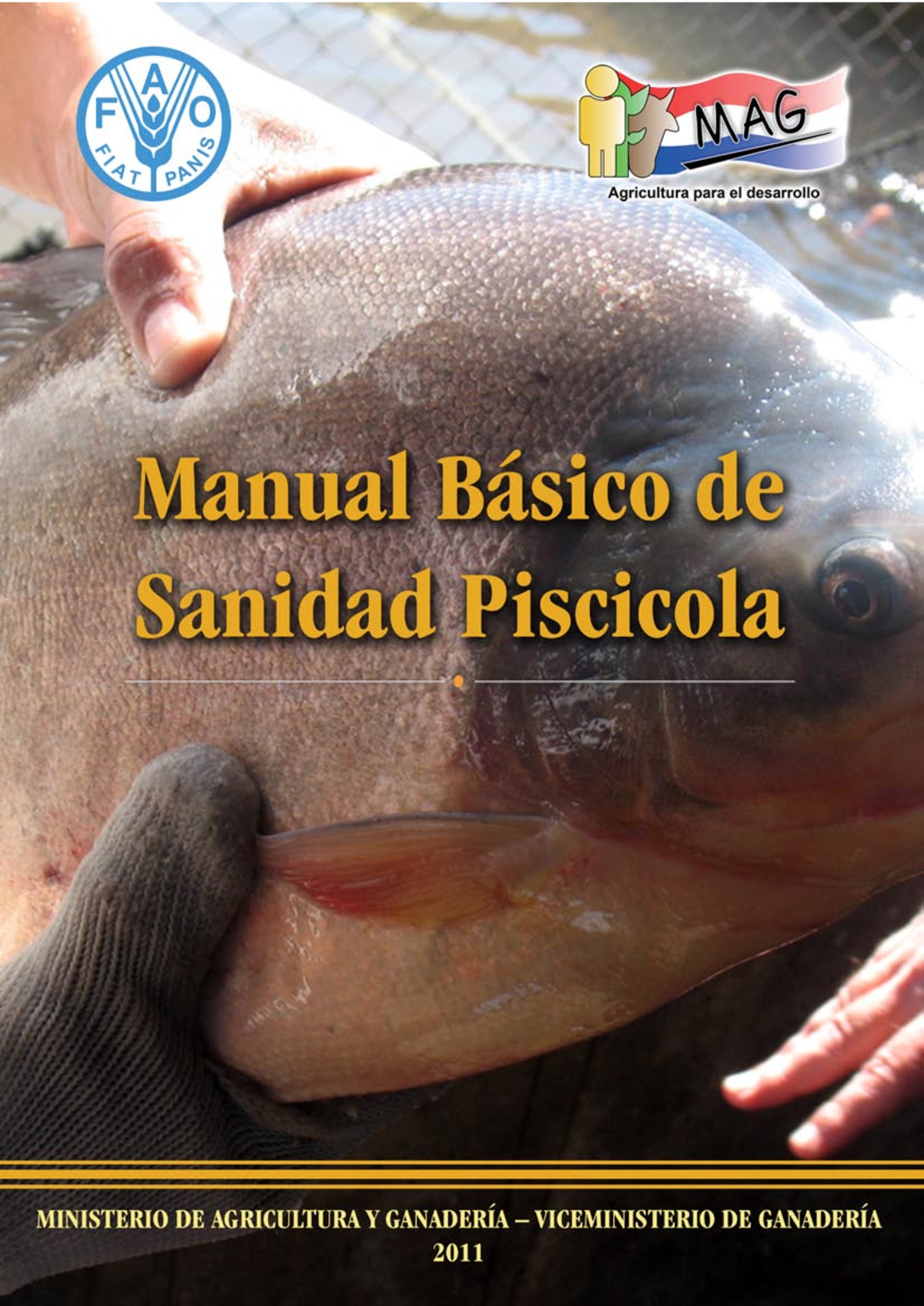 Manual DE Bioseguridad - Coordinación y Elaboración: Dr. Edgar Daniel ...