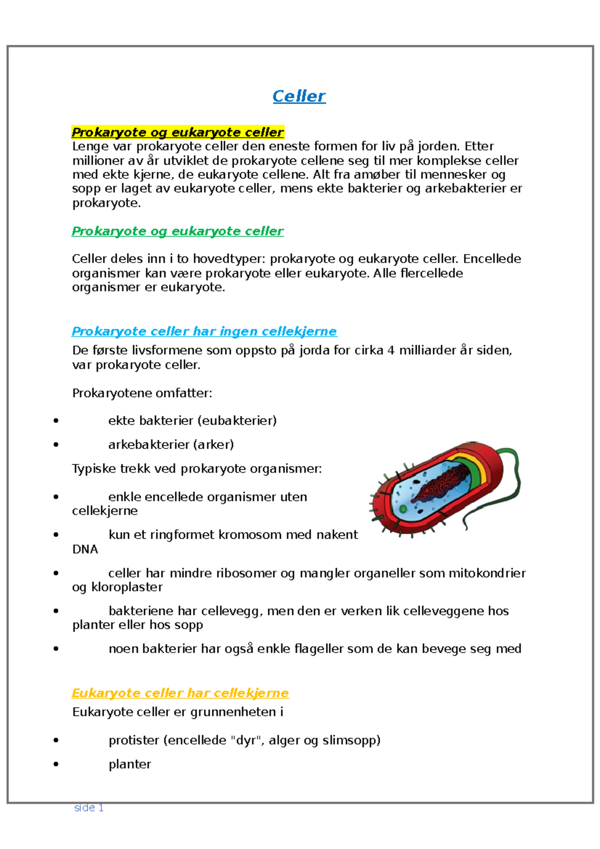 1 celler kapittel 4 - Celler Prokaryote og eukaryote celler Lenge var prokaryote celler den ...