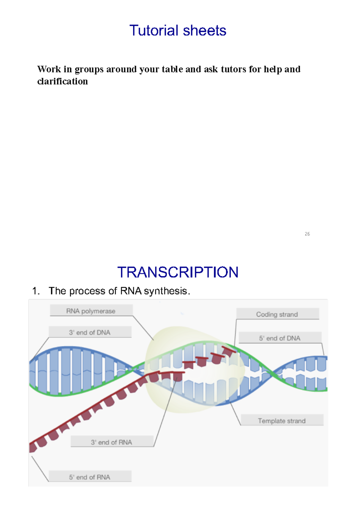 2021s1 BIOL1020-Week05-tutorial & worksheet - Tutorial)sheets 26 Work ...