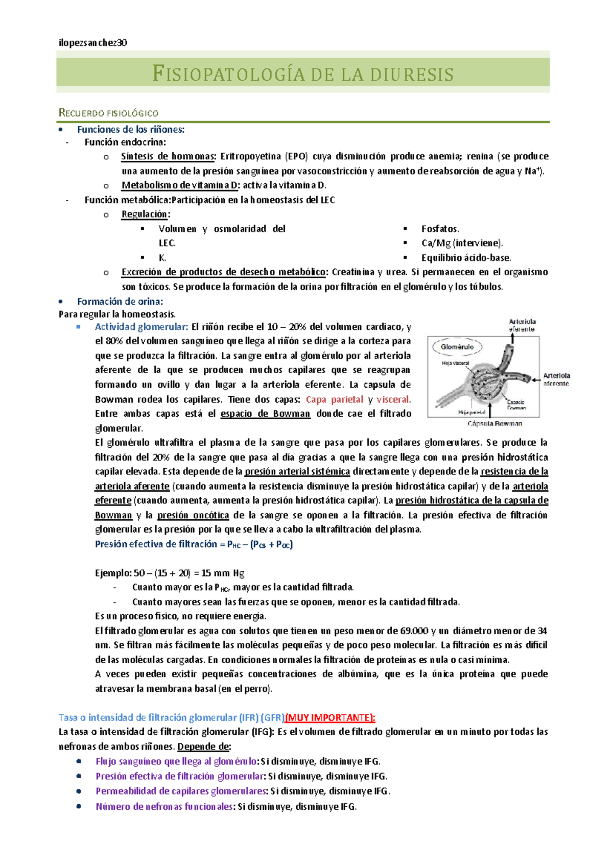 Fisiopatología de la diuresis - ilopezsanchez30 FISIOPATOLOGÍA DE LA ...