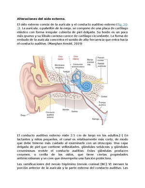 2. Anatomia Y Fisiologia DE LA Nariz - ANATOMIA Y FISIOLOGIA: NARIZ Y ...