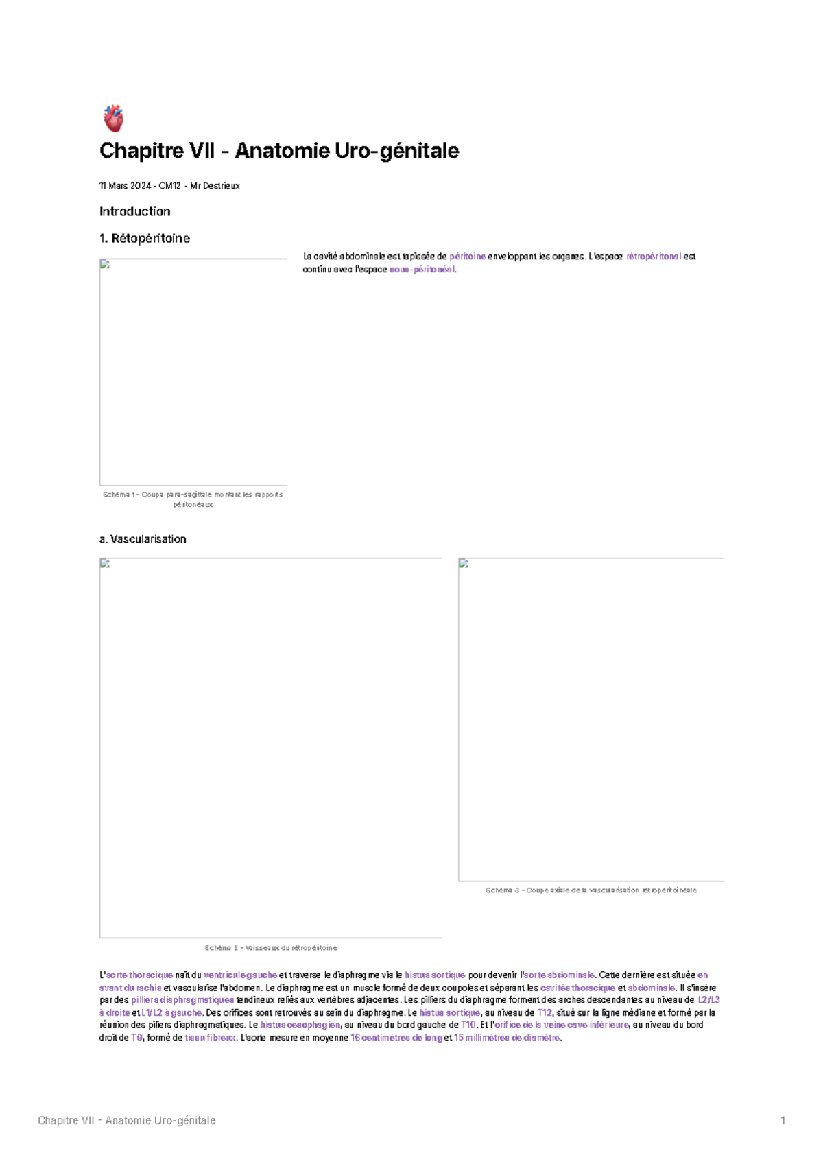 Chapitre VII - Anatomie Uro-génitale - 🫀 Chapitre VII - Anatomie Uro-génitale 11 Mars 2024 CM12 ...