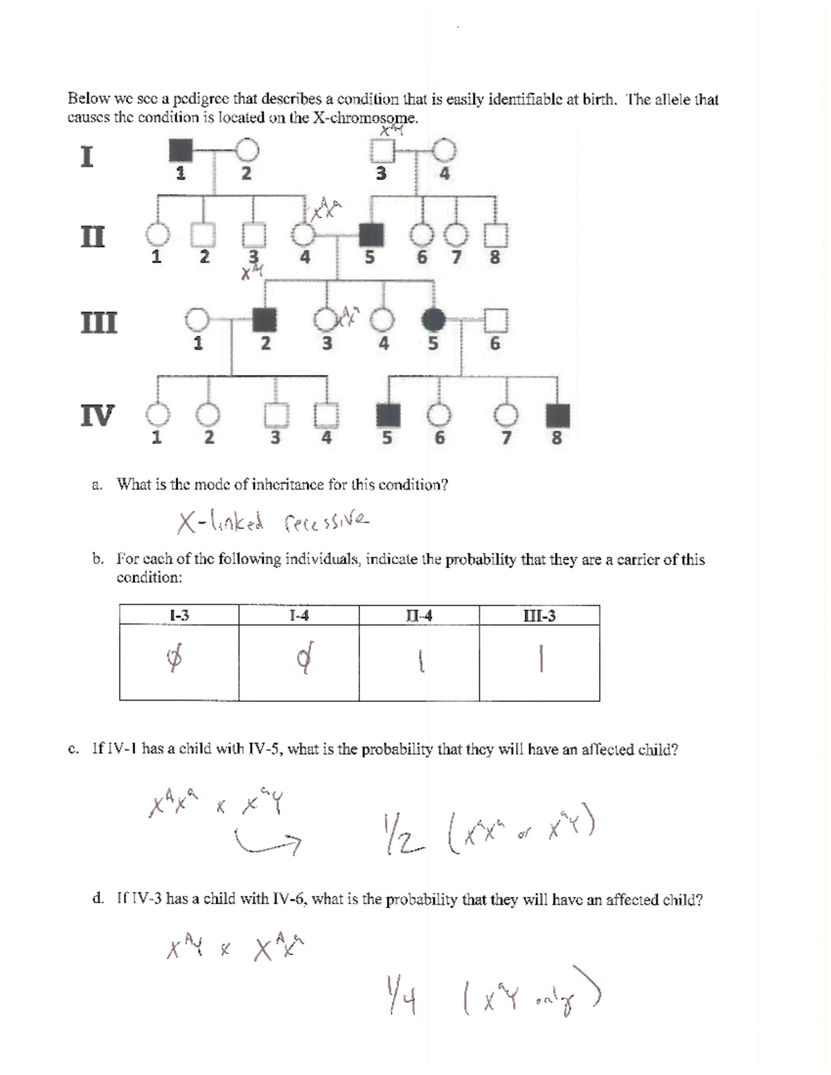 Mod2 problems 11082021 key - BIO320 - Studocu