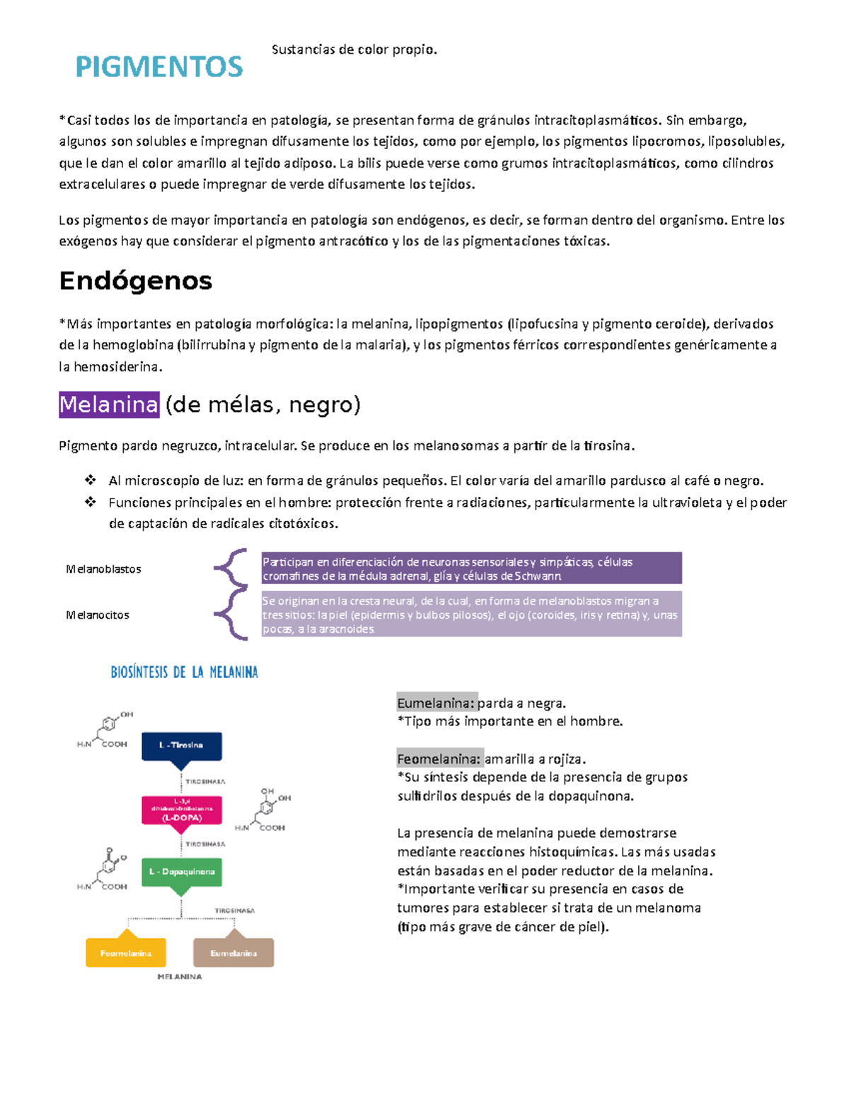 Pigmentos utilizados en patología - Sustancias de color propio. *Casi ...