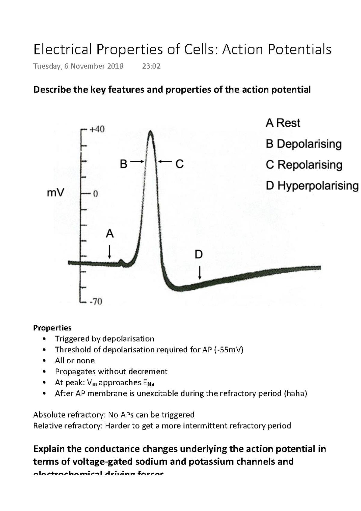 Electrical Properties of Cells Action Potentials - Describe the key ...