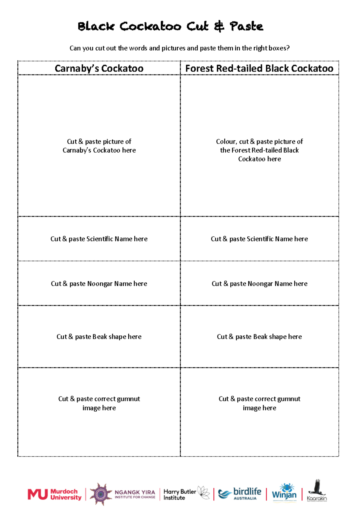 NF T1W Black Cockatoo Cut Paste y1 4 - Can you cut out the words and ...