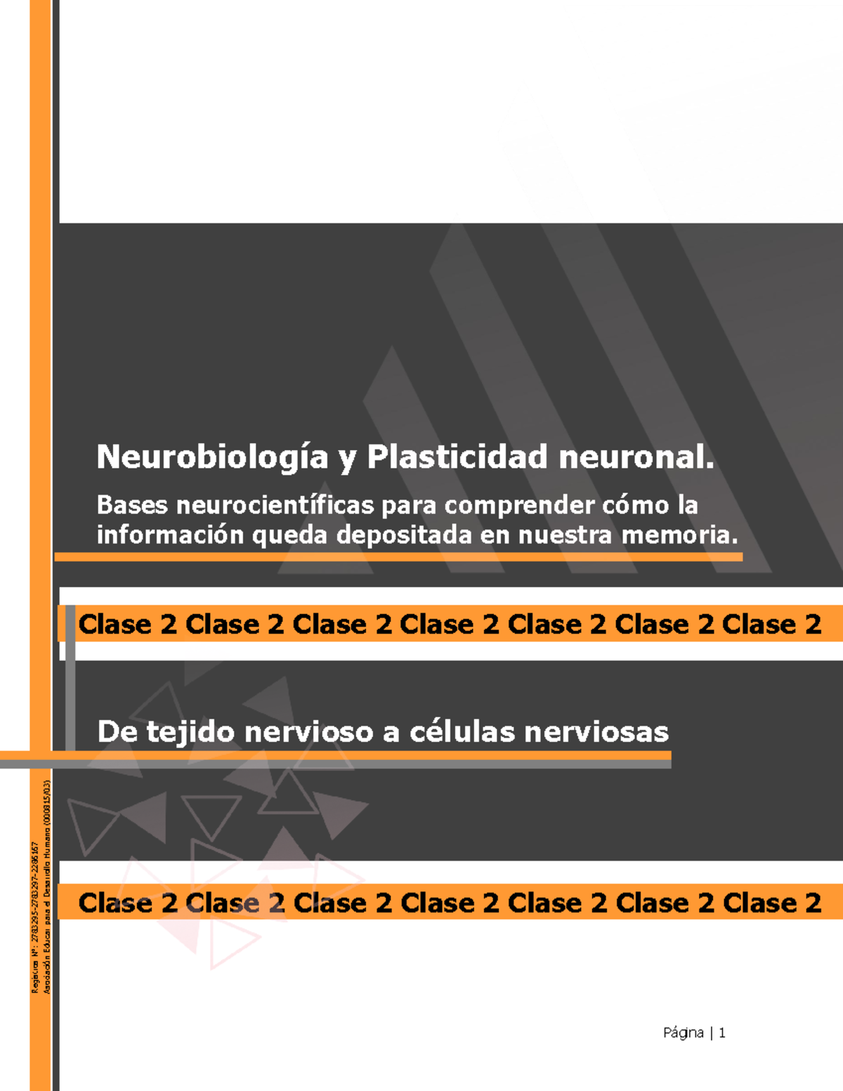 Arco reflejo - aasdasd - P·gina | 1 Registros N∞: 2783295-2783297 ...