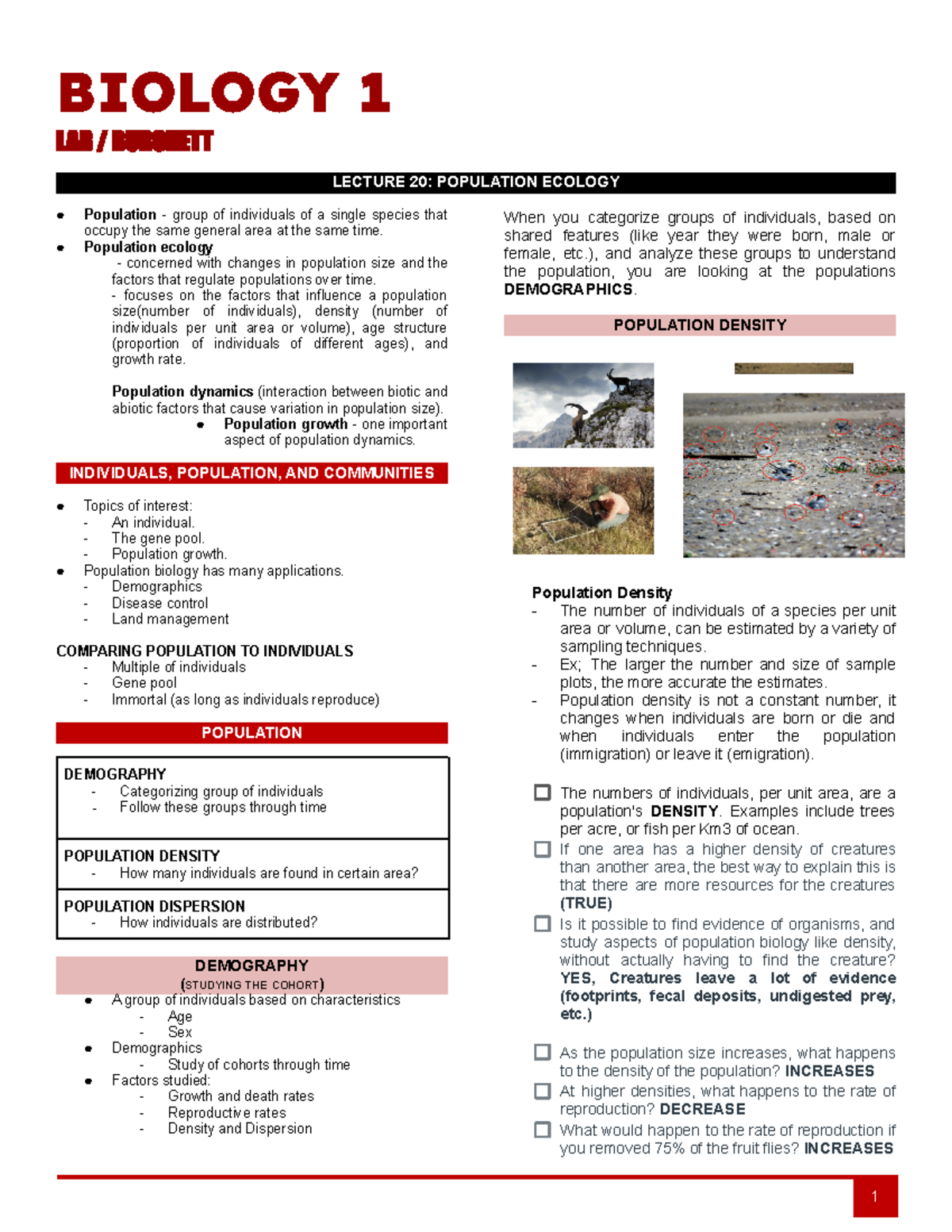 BIO1 LAB 20 - LECTURE 20: POPULATION ECOLOGY - BIOLOGY 1 LAB / BURCHETT ...