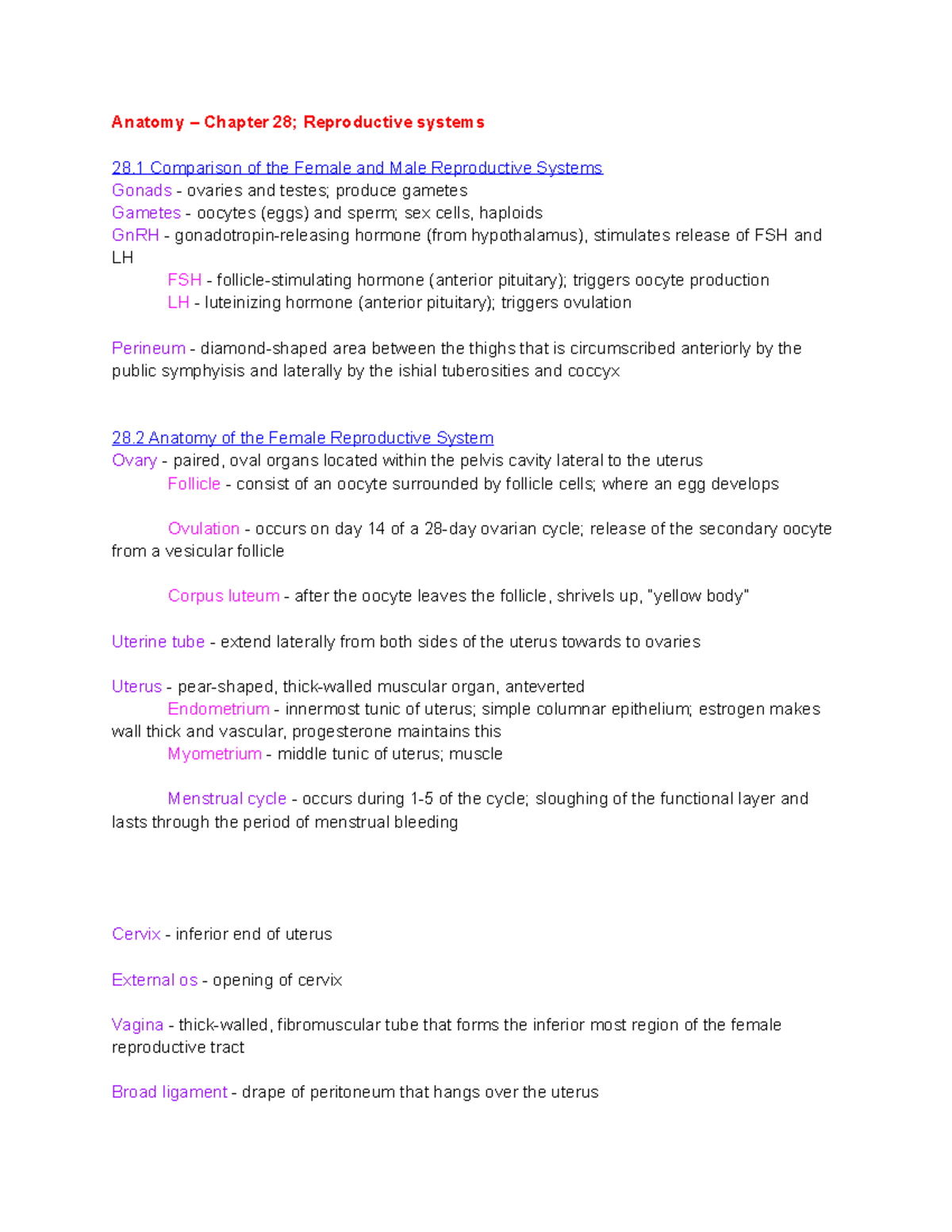 Chapter 28 - Reproductive systems - Anatomy Chapter Reproductive ...