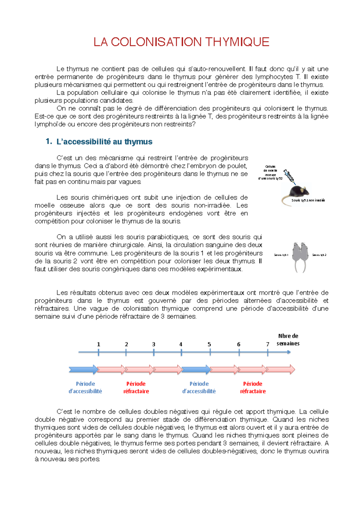 La Colonisation Thymique - LA COLONISATION THYMIQUE Le thymus ne ...