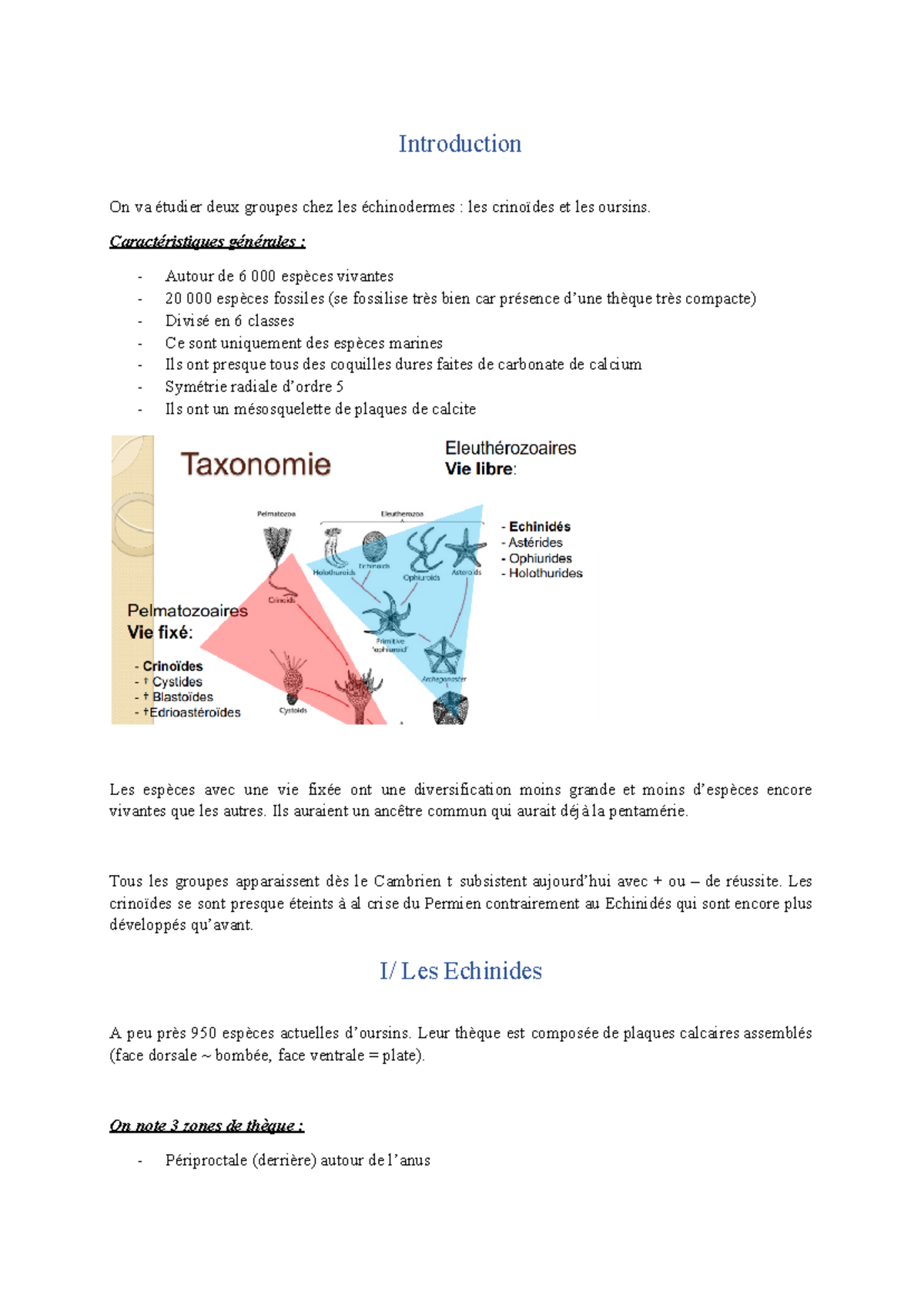 Les échinodermes - cours CM - Introduction On va étudier deux groupes ...