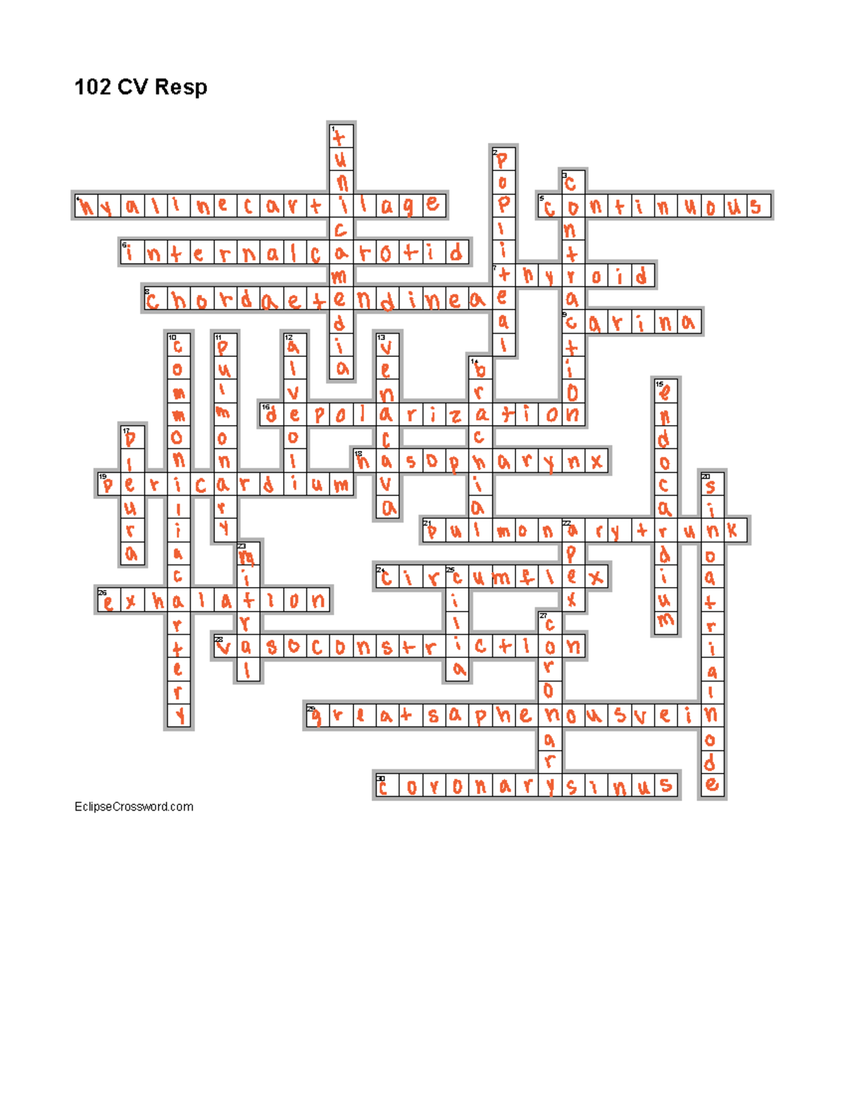 Cardiovascular respiratory crossword - 102 CV Resp 1 2 3 4 5 6 7 8 9 10 ...