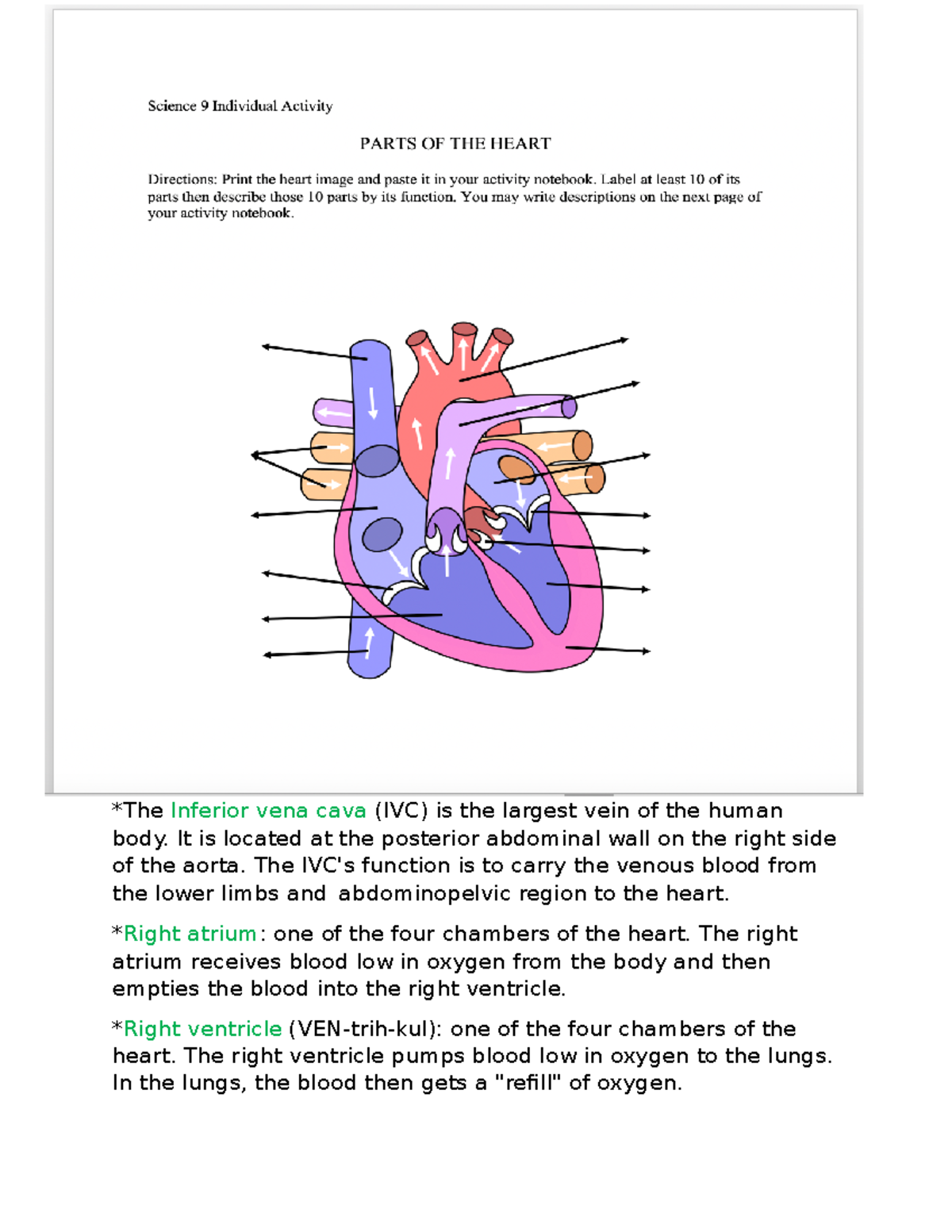 Sci - parts of the heart and its definitions - *The Inferior vena cava ...