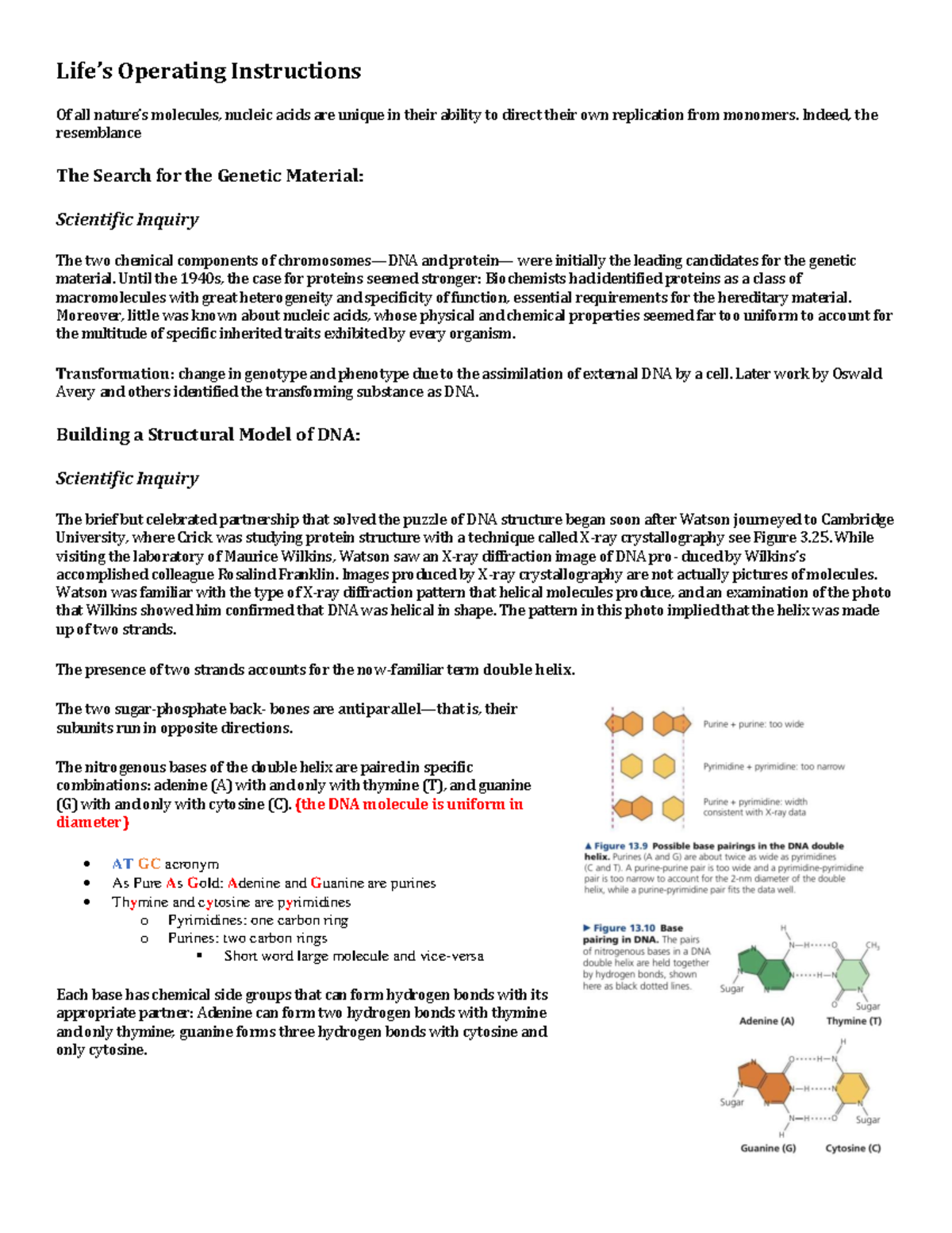 Chapter 13 - The Molecular Basis of Inheritance - Life’s Operating ...