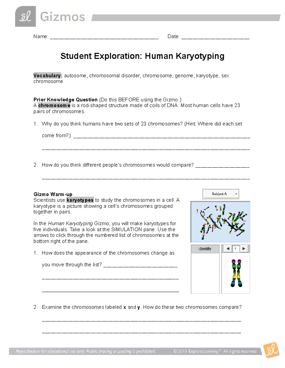 Human Karyotyping SE - Name ...