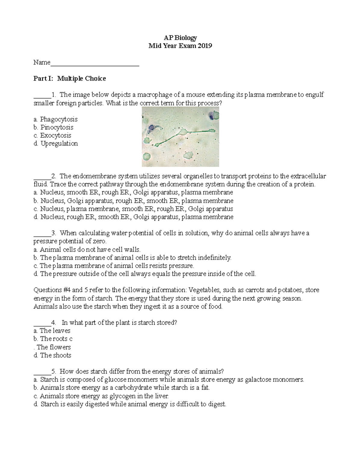 AP Biology Mid Year Exam 2019 - AP Biology Mid Year Exam 2019 Name