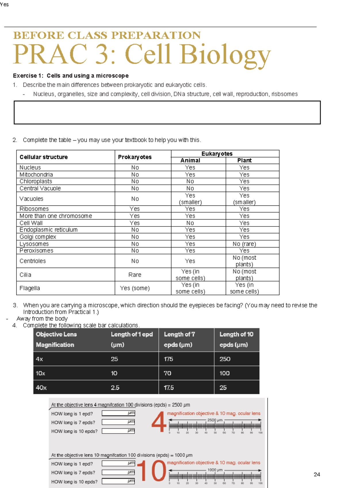 BIOL1020 Prac 3 - Microscopy & Mitosis - Yes BEFORE CLASS PREPARATION ...