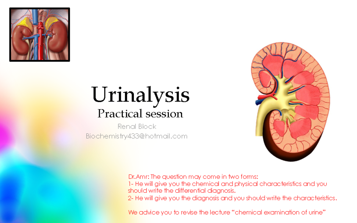 Biochemistry OSPE-Urinalysis - Urinalysis Practical session ...