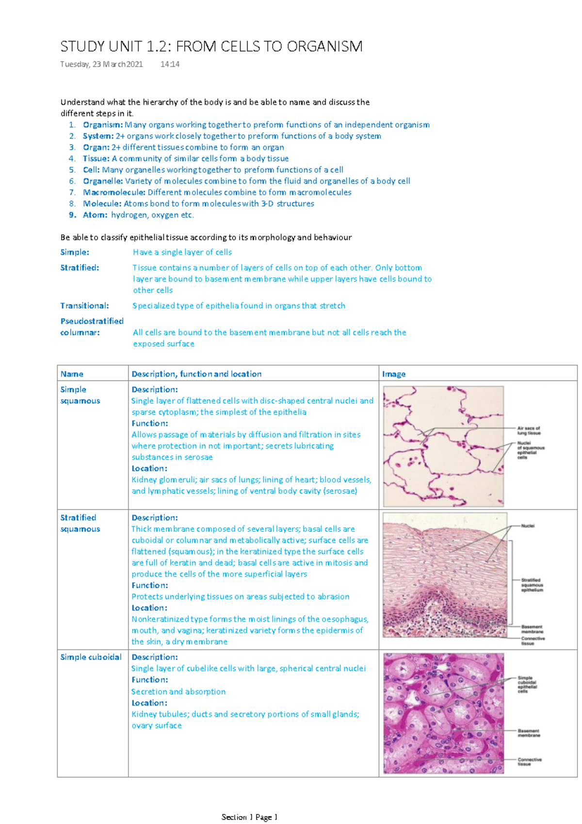 Study UNIT 1.2 FROM Cells TO Organism - Understand what the hierarchy ...