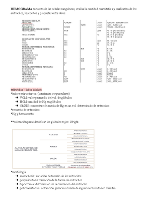 Verbos en ingles - tiempos del verbo - VERB PAST SIMPLE PAST PARTICIPLE ...