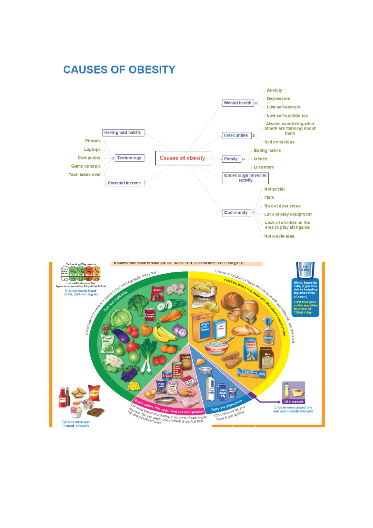 Causes of obesity and healthy eating - Studocu