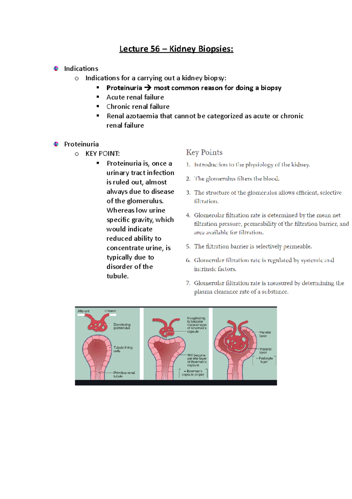 Lecture 56 – Kidney Biopsies - Lecture 56 – Kidney Biopsies ...