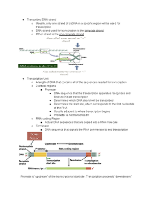 Genetics Exam 2 - exam 2 study guide - Genetics Exam 2 Study Guide ...