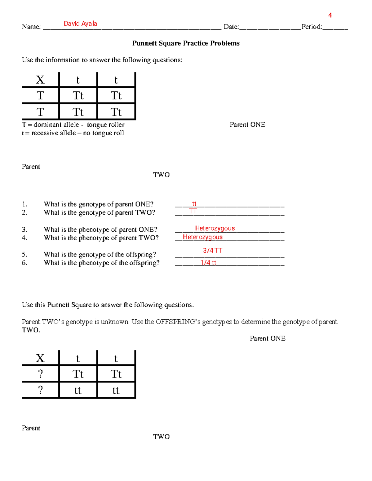 Kami Export - David Ayala - Punnett Square Practice - Name: - Studocu