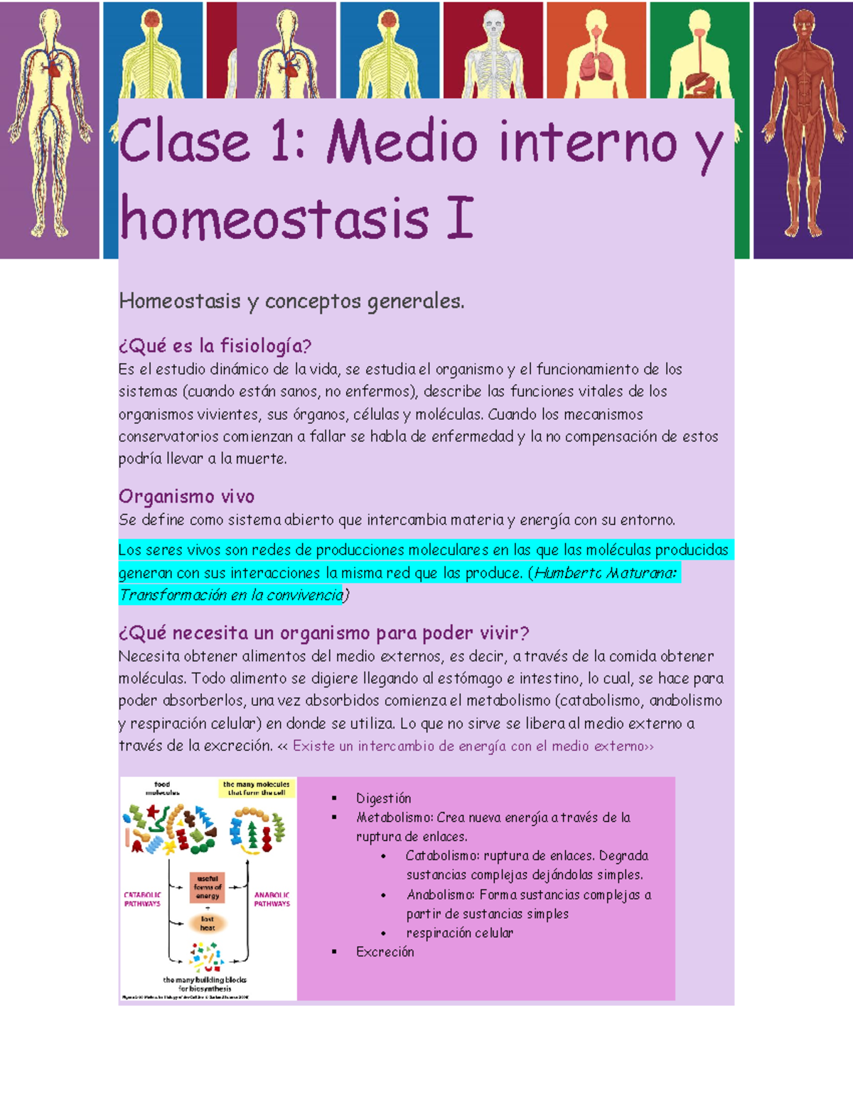 Medio interno y Homeostasis 1.1 - Obstetricia - Studocu