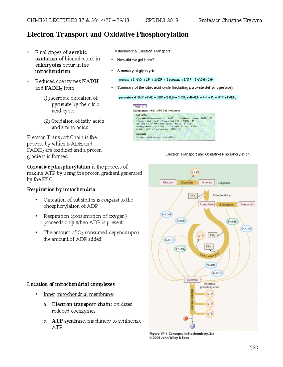 ETC - Electron transport chain - Electron Transport and Oxidative ...