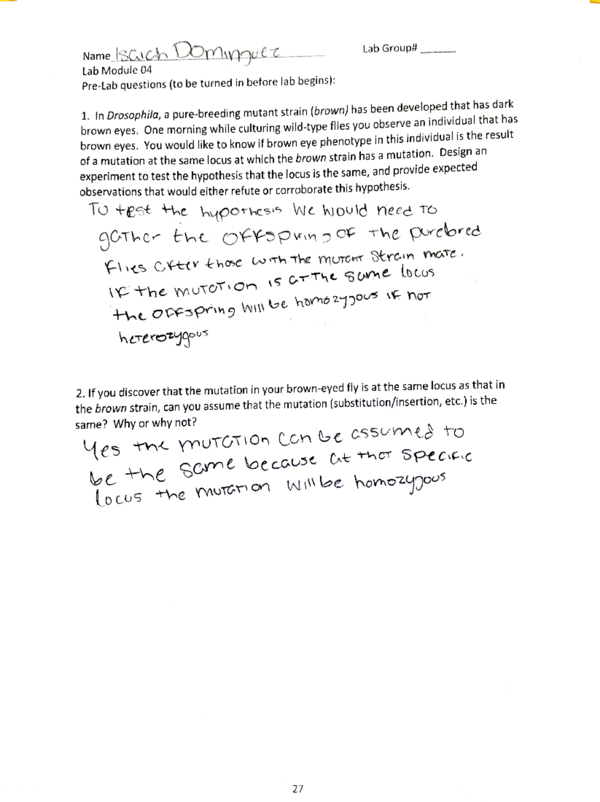 Isaiah Dominguez prelab 4 - Name ISCch LOynutt Lab Group# Lab Module 04 ...