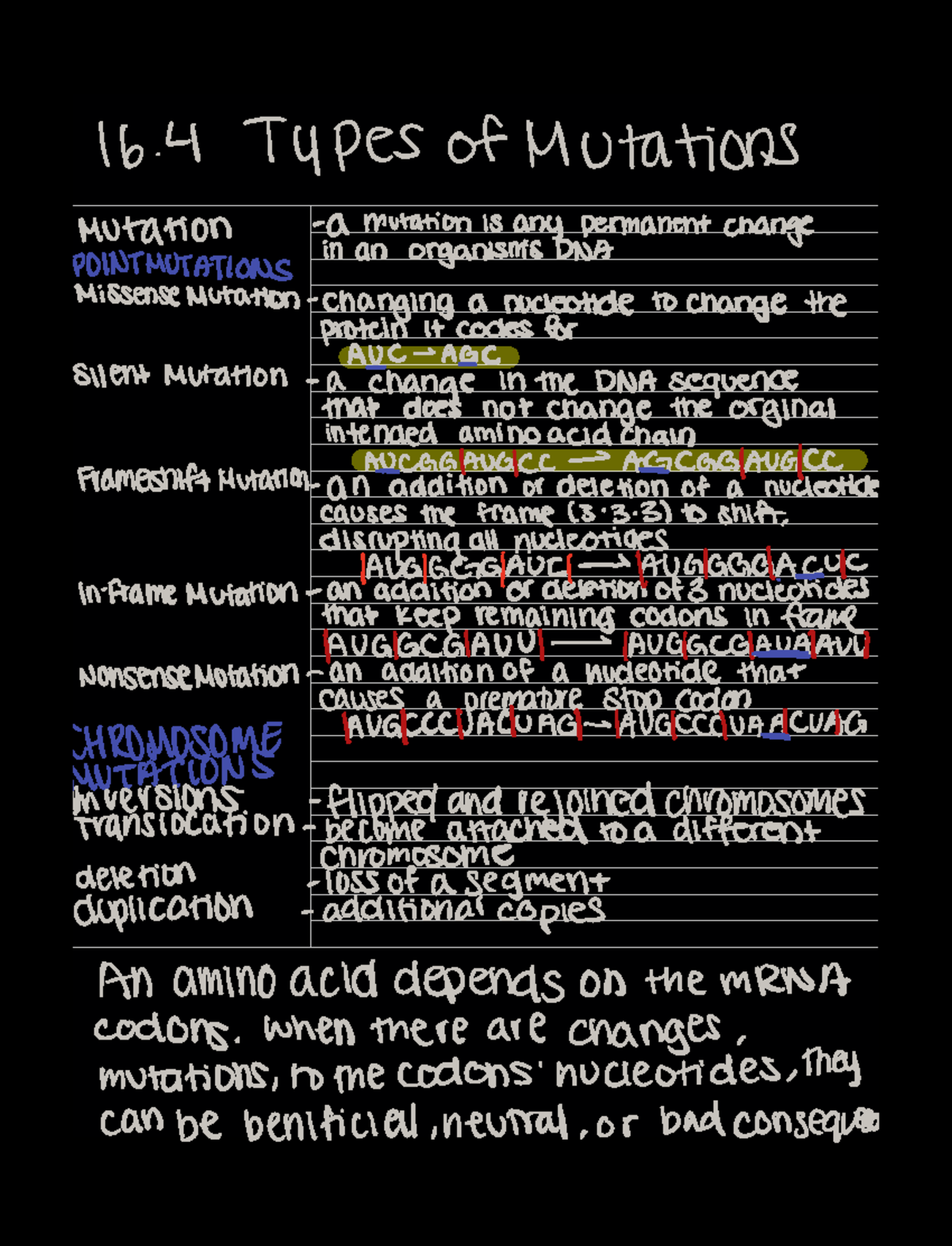 Textbook Notes 16.4 Types of Mutations - 16 Types of Mutations mutation ...