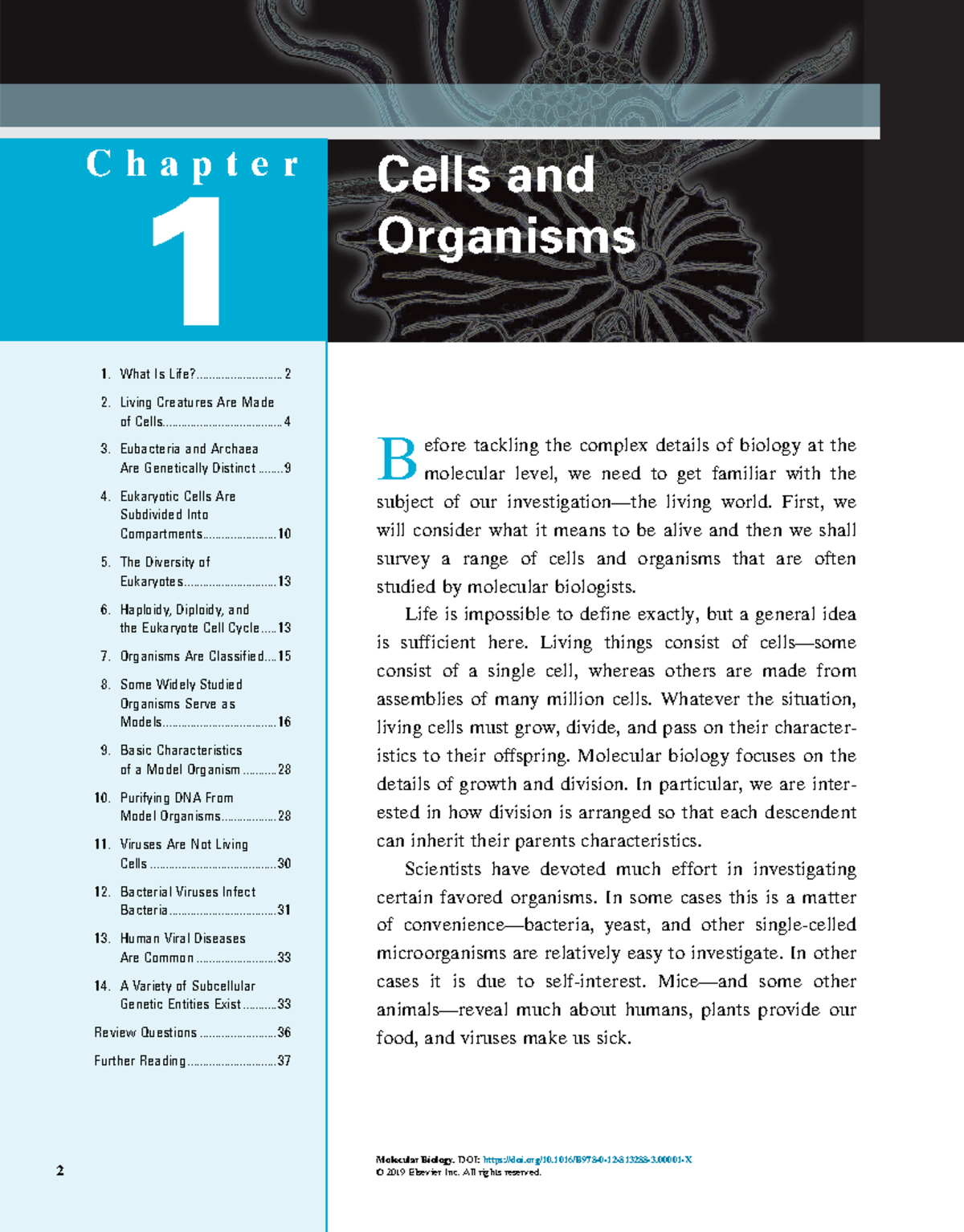 Chapter 1 introduction - Chapter 1 Cells and Organisms B ####### efore ...