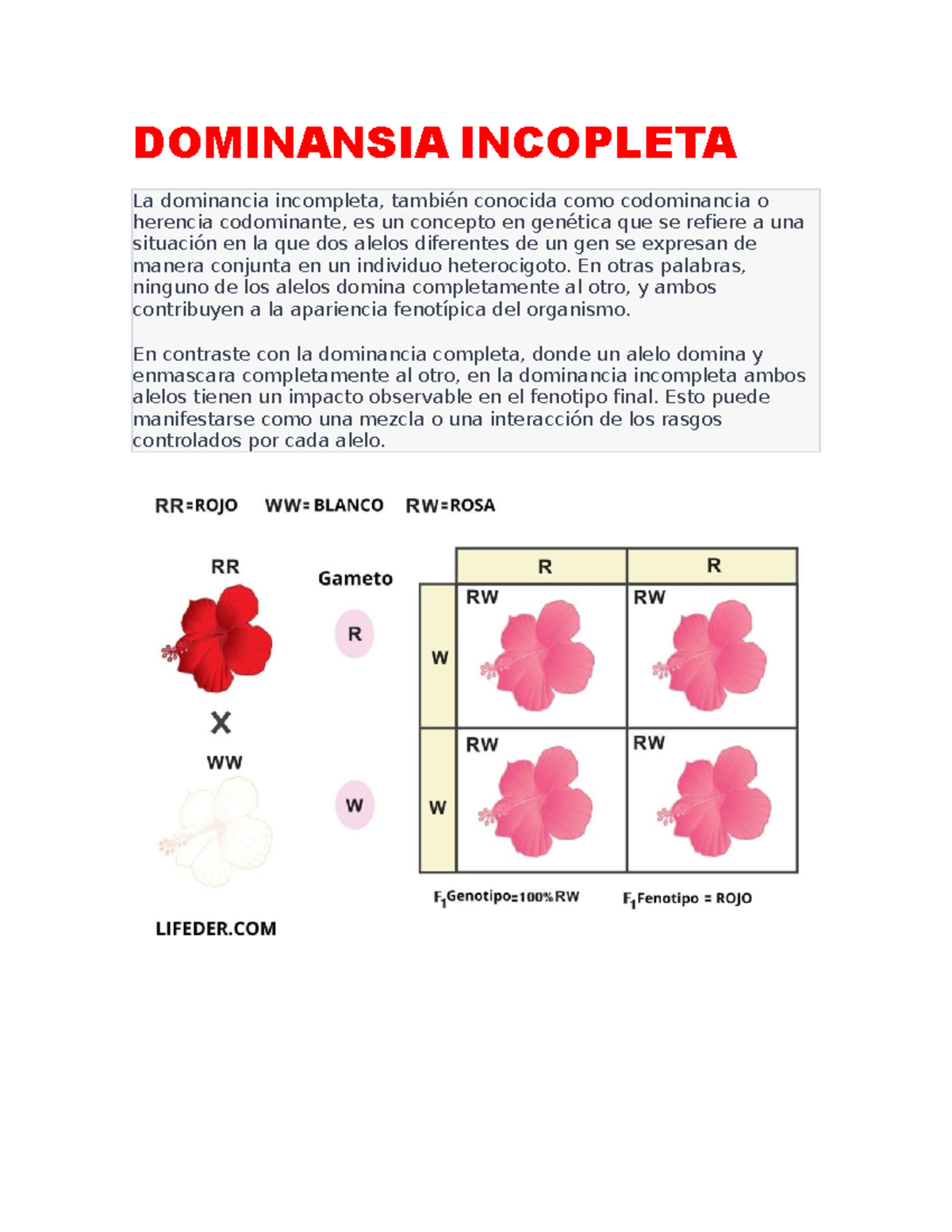 Dominansia Incopleta - es para una tarea o un repaso - biologia - Studocu