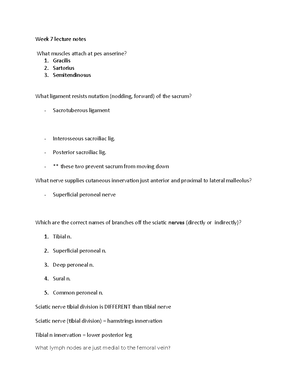 Handout-Anterior Abd Wall- Ing Canal and Anterior and Medial Thigh-CW ...