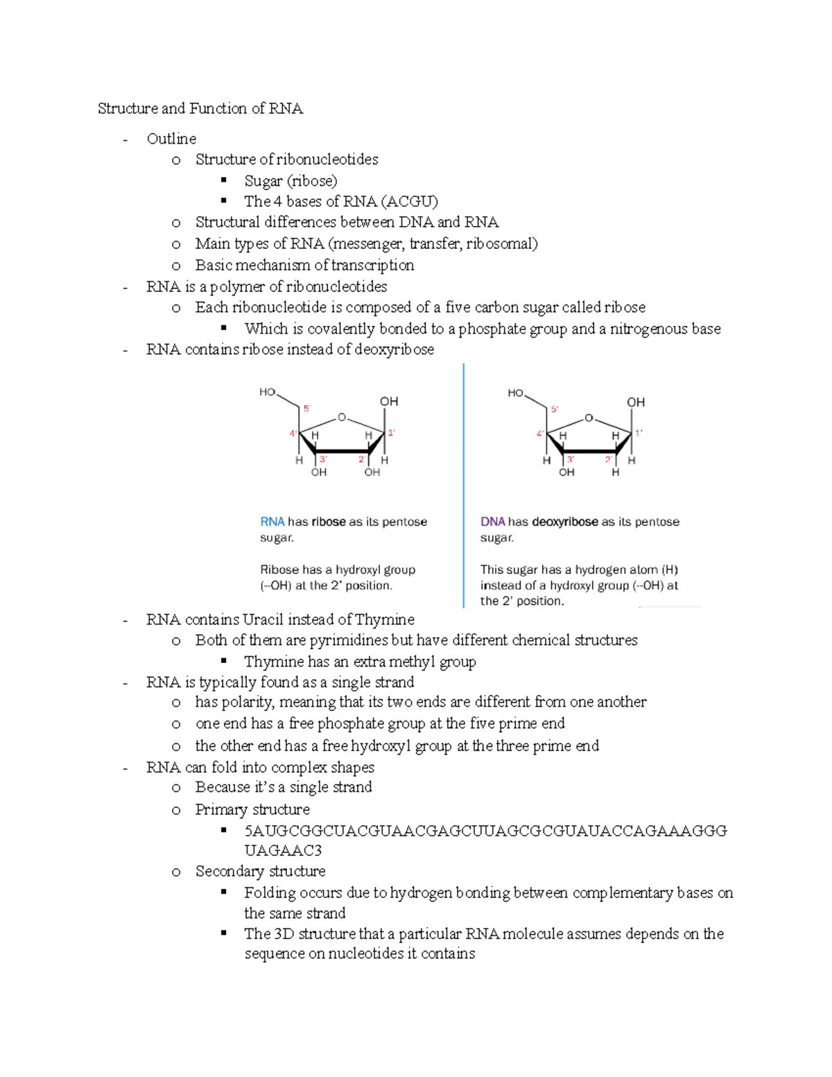 Structure And Function Of Rna Structure And Function Of Rna Outline O