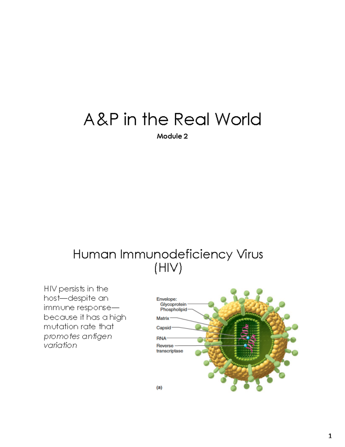 A&P in the Real World Module 2 SP20 Blackboard - Warning: TT: undefined function: 32 Warning: TT ...