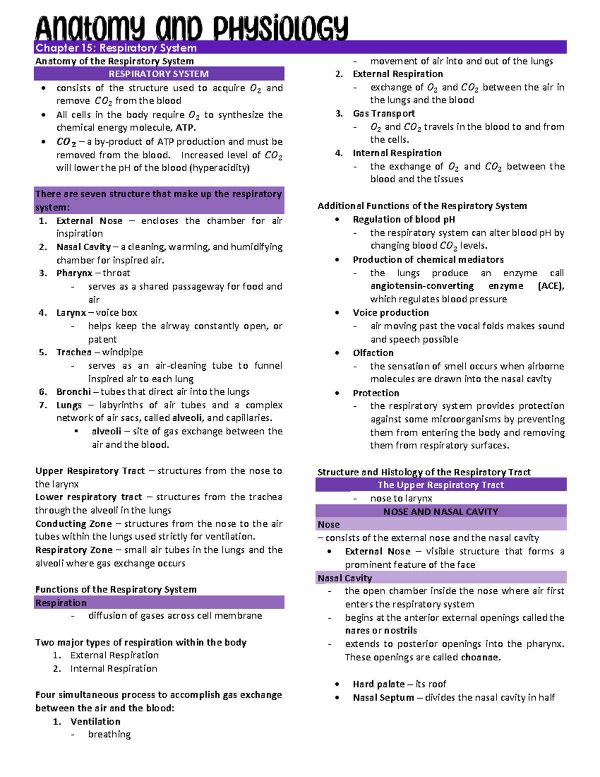 Anaphy-respiratory - Respi notes - Anatomy of the Respiratory System ...