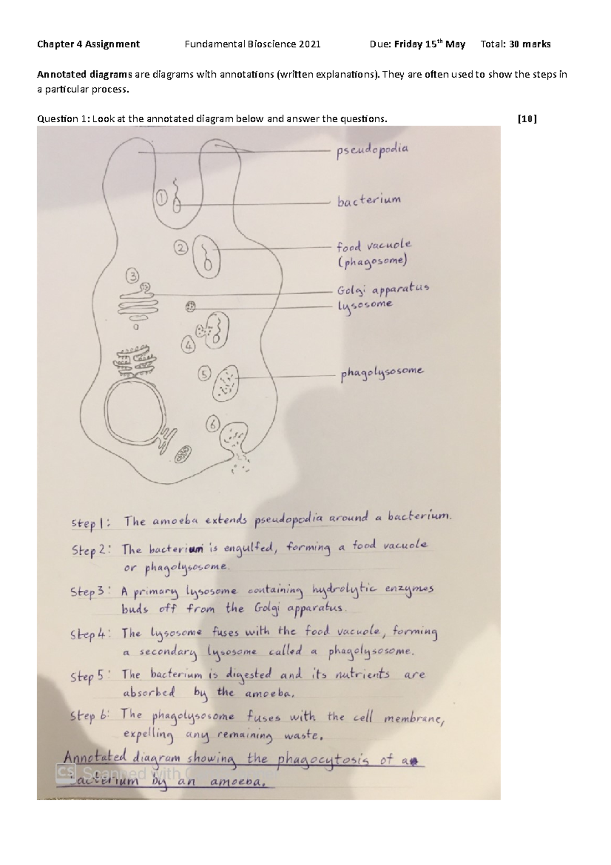Chapter 4 assigment - Tutorial work to help gain more knowledge ...