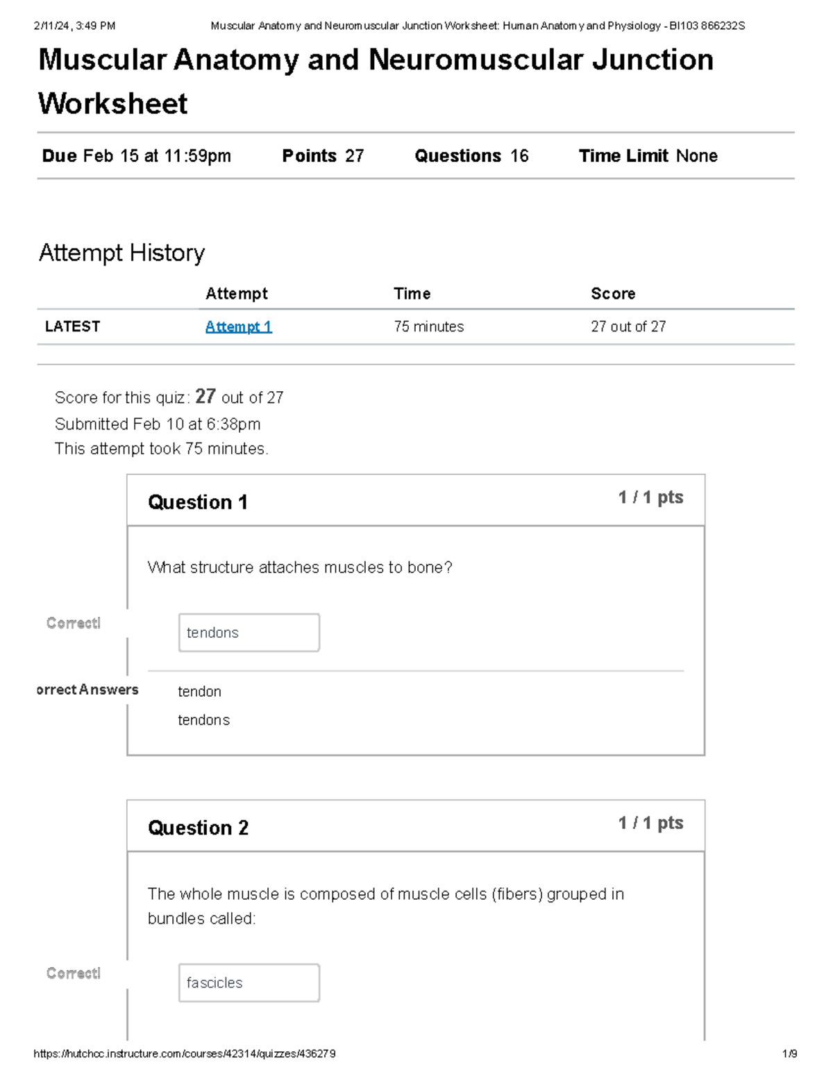 Muscular Anatomy and Neuromuscular Junction Worksheet Human Anatomy and ...
