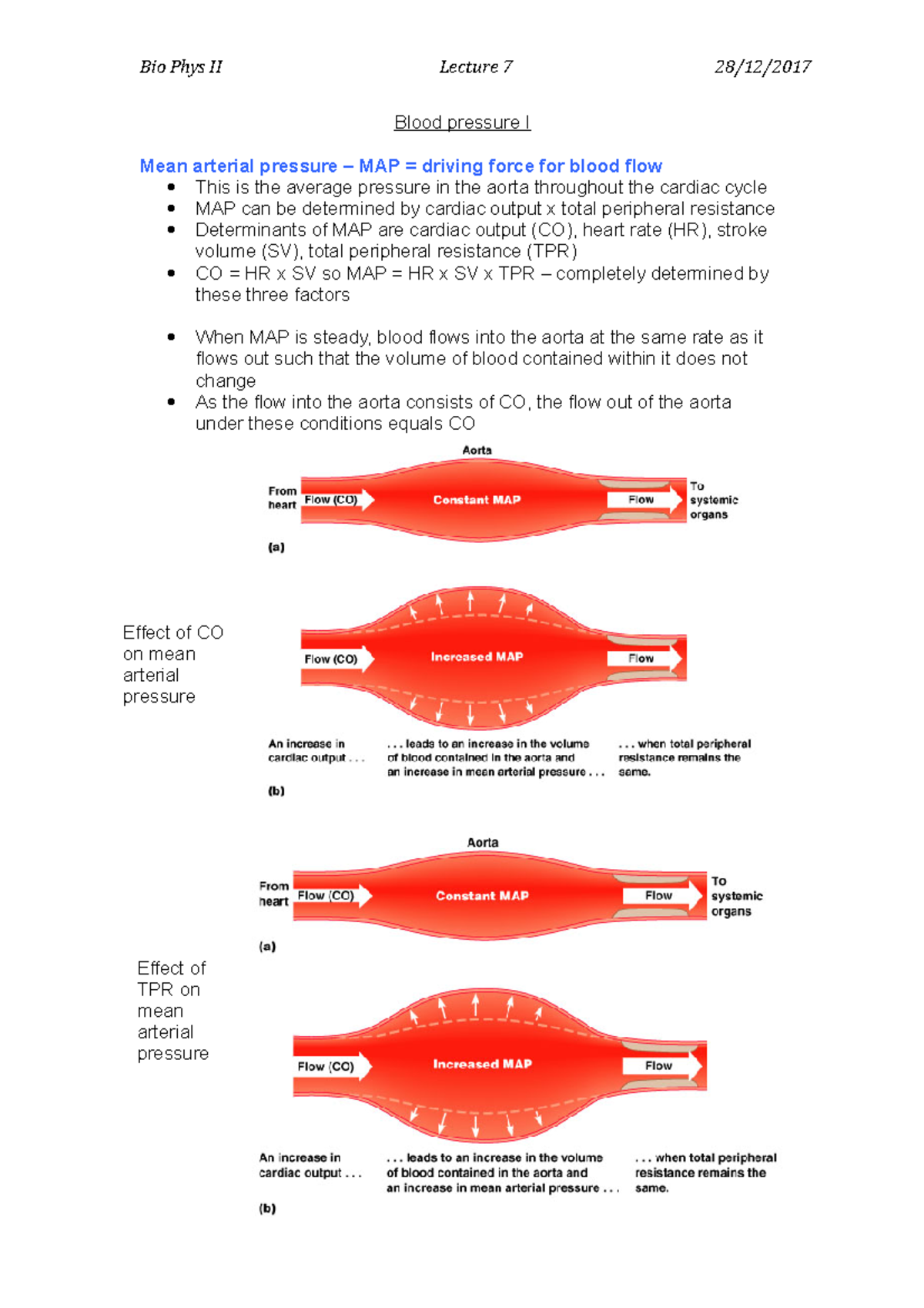 Blood pressure I - Lecture notes 7 - Bio Phys II Lecture 7 28/12/2017 ...