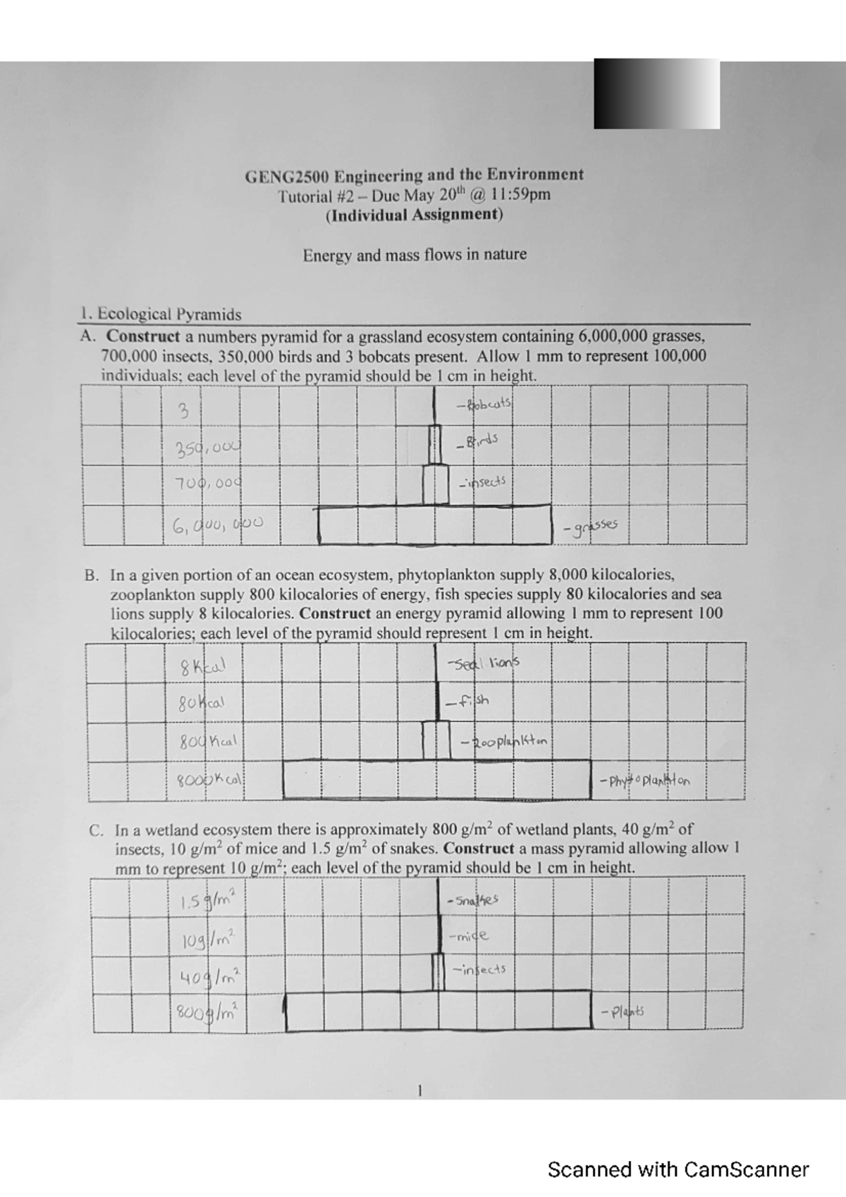 Tutorial 2 - Study Guide - GENG-2500 - Studocu